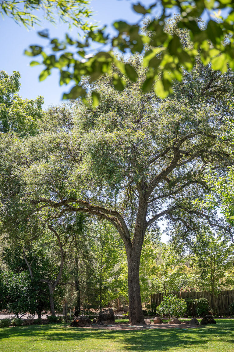 Flower Farm Inn Wedding Events Barn Norcal| Venue Vixens