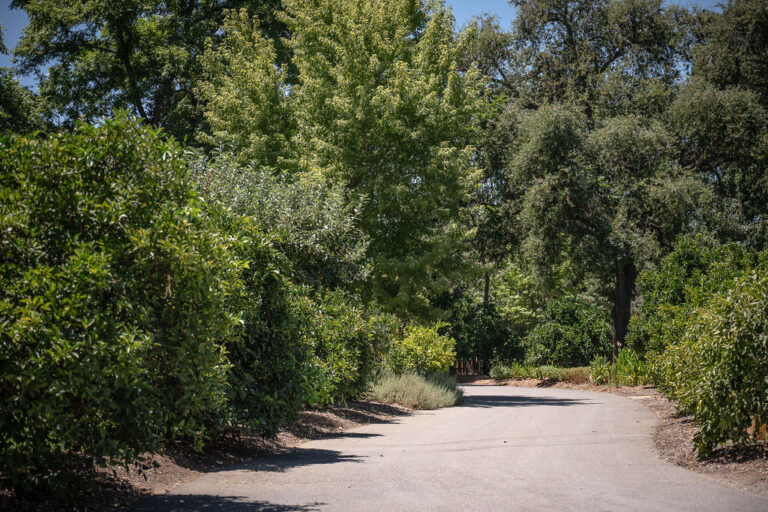 Flower Farm Inn Wedding Events Barn Norcal| Venue Vixens