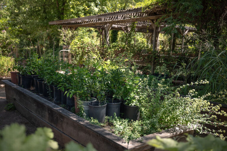 Flower Farm Inn Wedding Events Barn Norcal| Venue Vixens